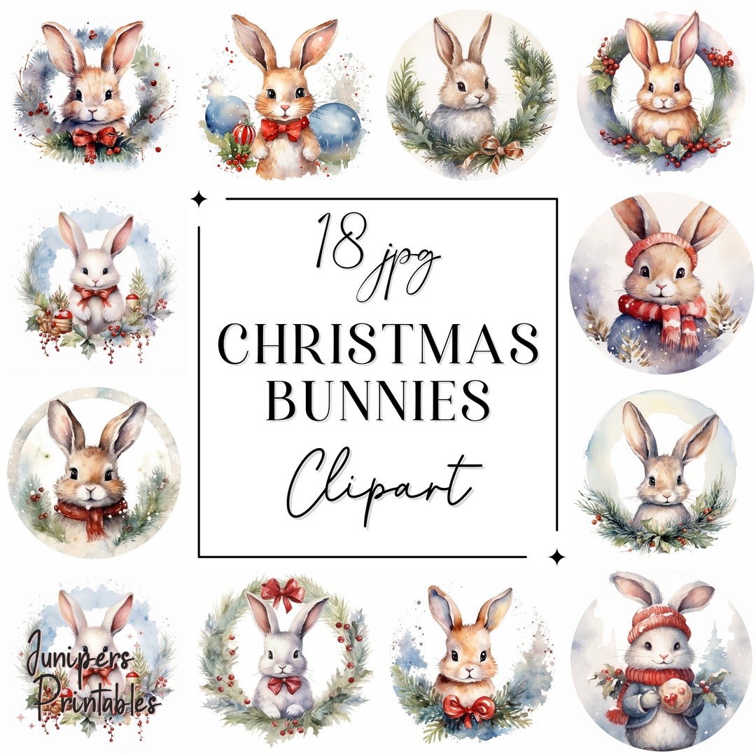 18 Christmas Bunnies Clipart, High Quality Jpgs, Digital Download Card ...
