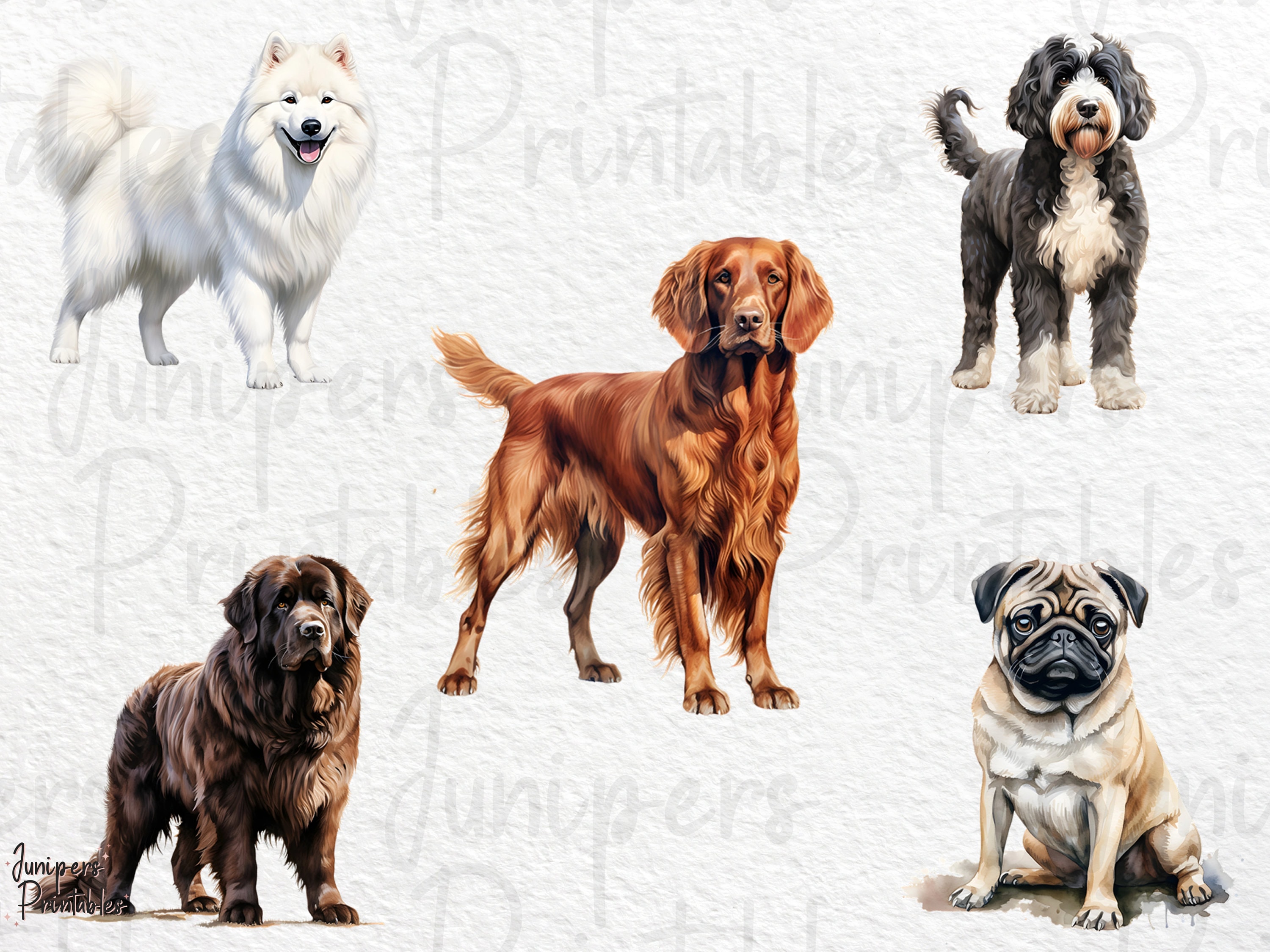 Watercolor Dog Breeds Vol. 5 Clipart Bundle, 20 High Quality PNG ...