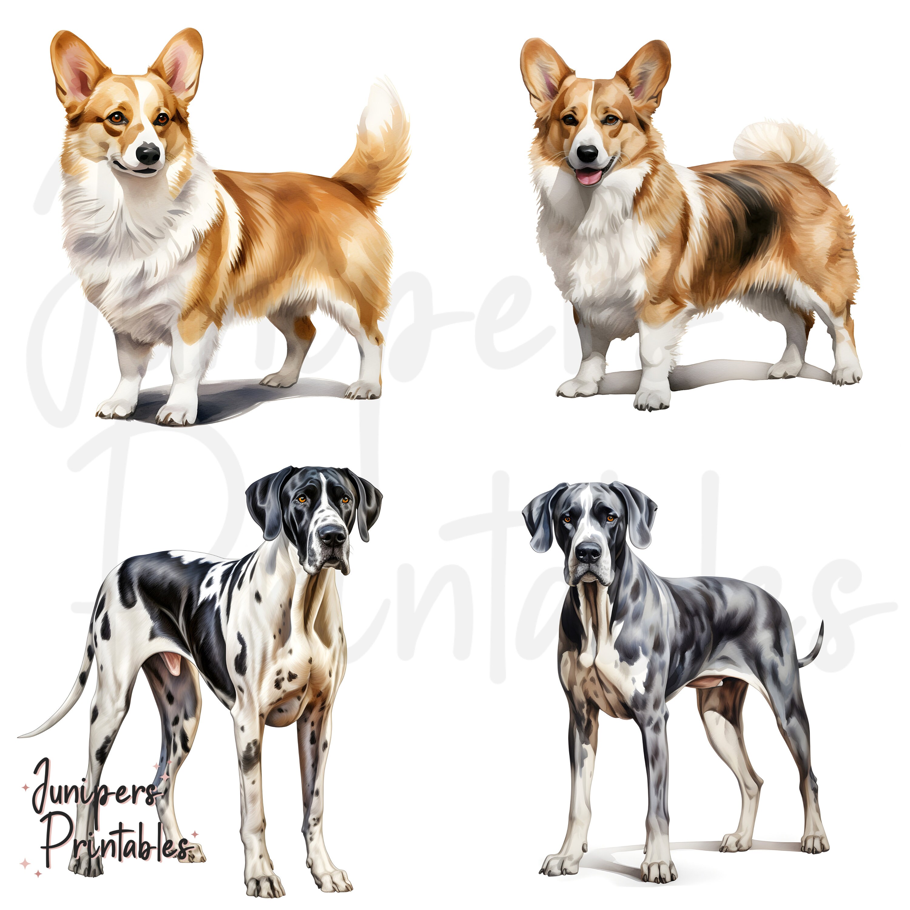 Watercolor Dog Breeds Vol. 2 Clipart Bundle 20 High Quality - Etsy