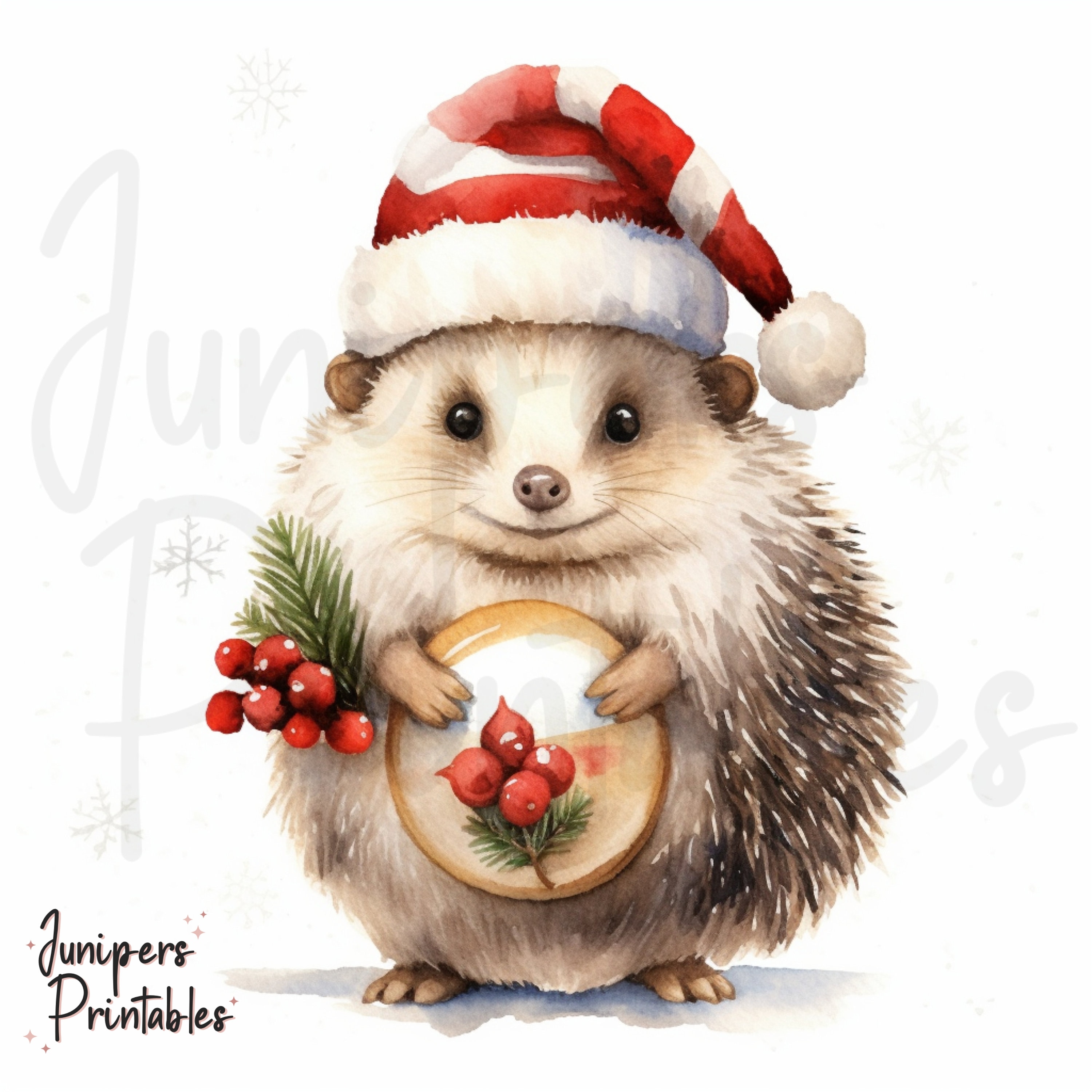 16 Christmas Hedgehog Clipart, High Quality Jpgs, Digital Download Card ...