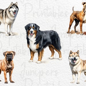 Watercolor Dog Breeds Vol. 4 Clipart Bundle, 20 High Quality PNG ...