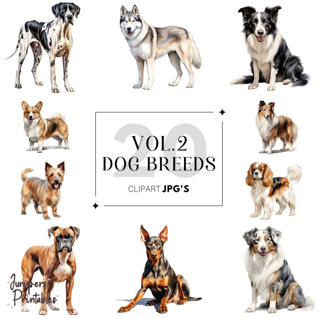Watercolor Dog Breeds Vol. 2 Clipart Bundle, 20 High Quality Jpgs ...