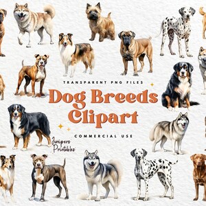 Watercolor Dog Breeds Vol. 4 Clipart Bundle, 20 High Quality PNG ...