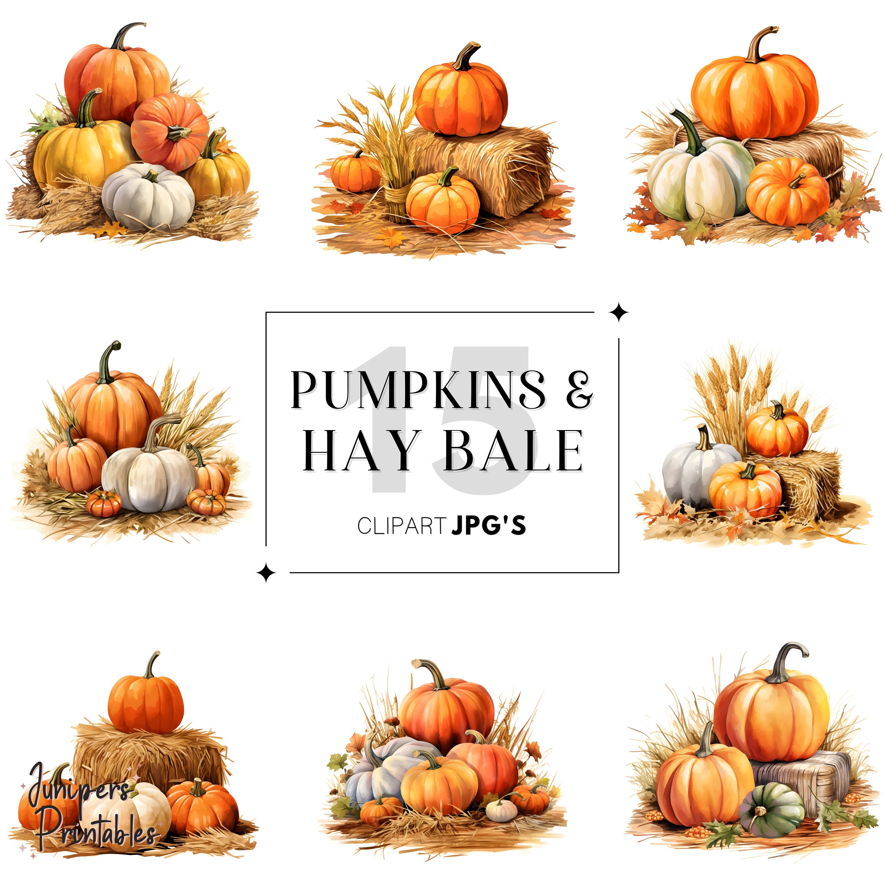 15 Fall Pumpkin & Hay Bale Clipart, High Quality Jpgs, Digital Download ...