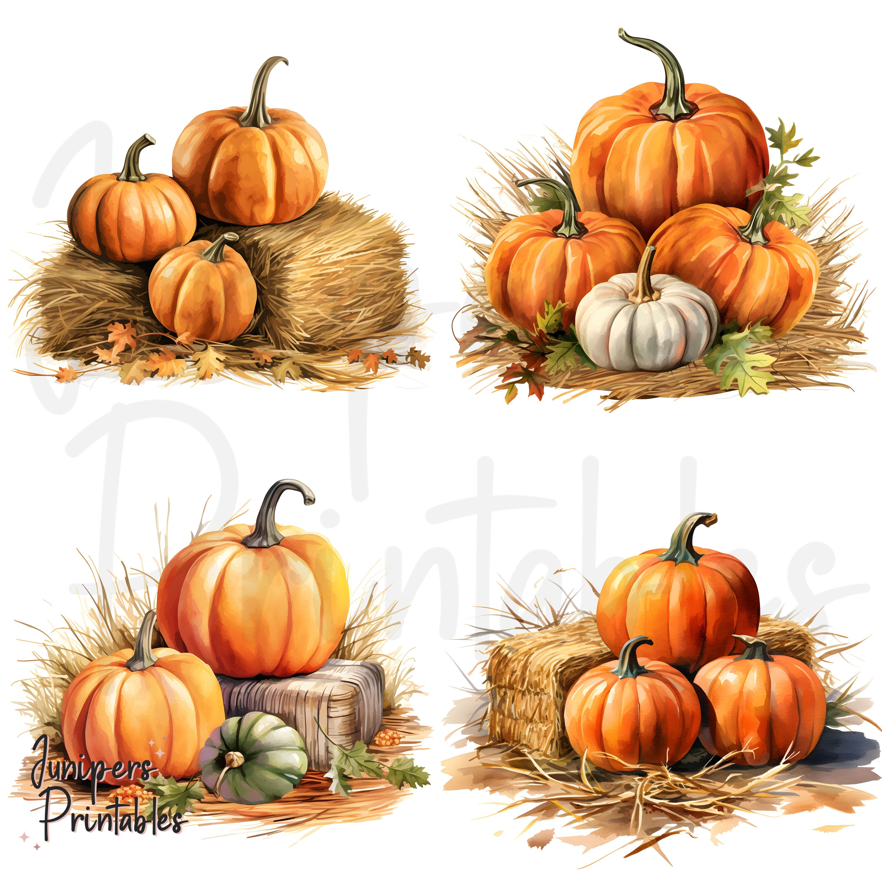 15 Fall Pumpkin & Hay Bale Clipart, High Quality Jpgs, Digital Download ...