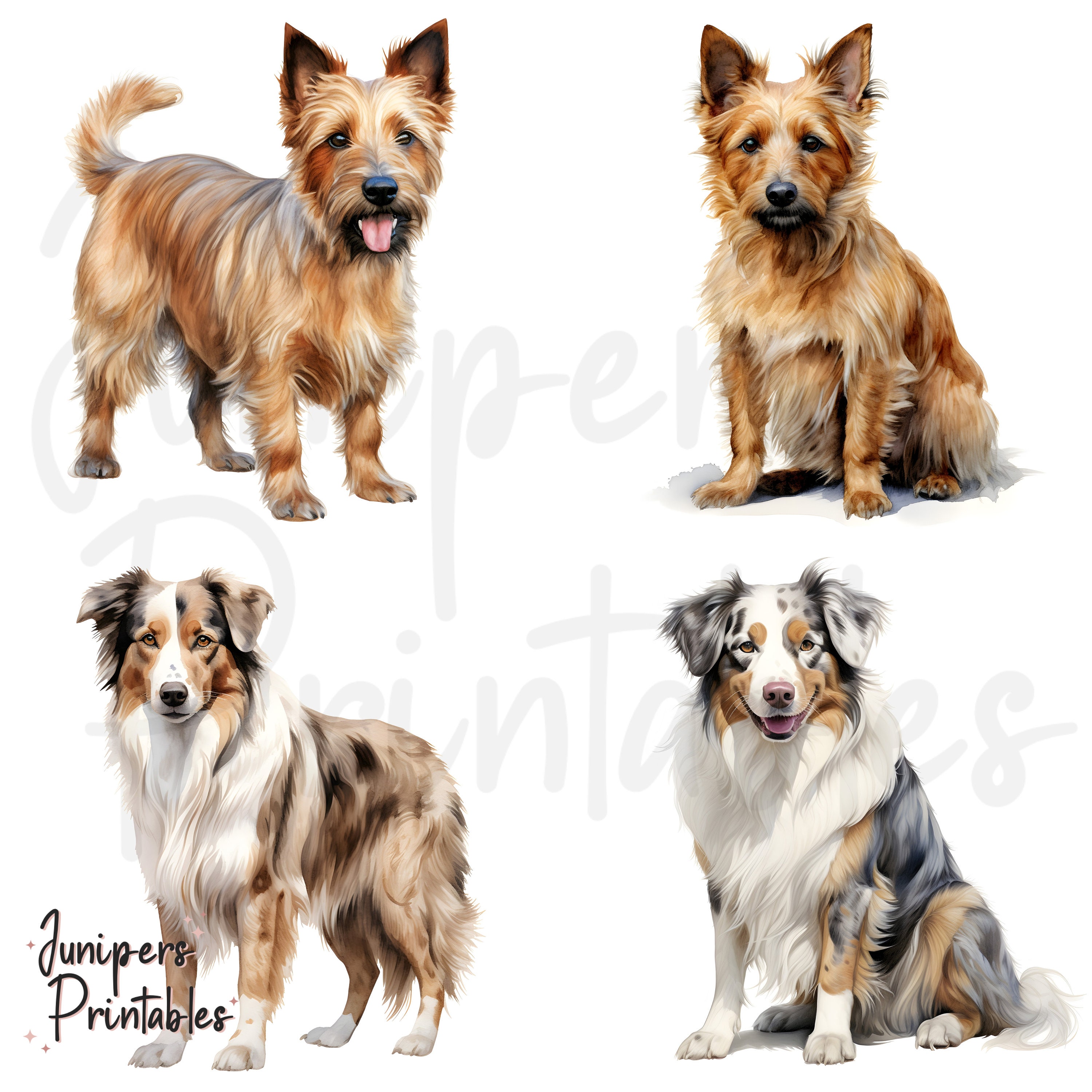 Watercolor Dog Breeds Vol. 2 Clipart Bundle 20 High Quality - Etsy