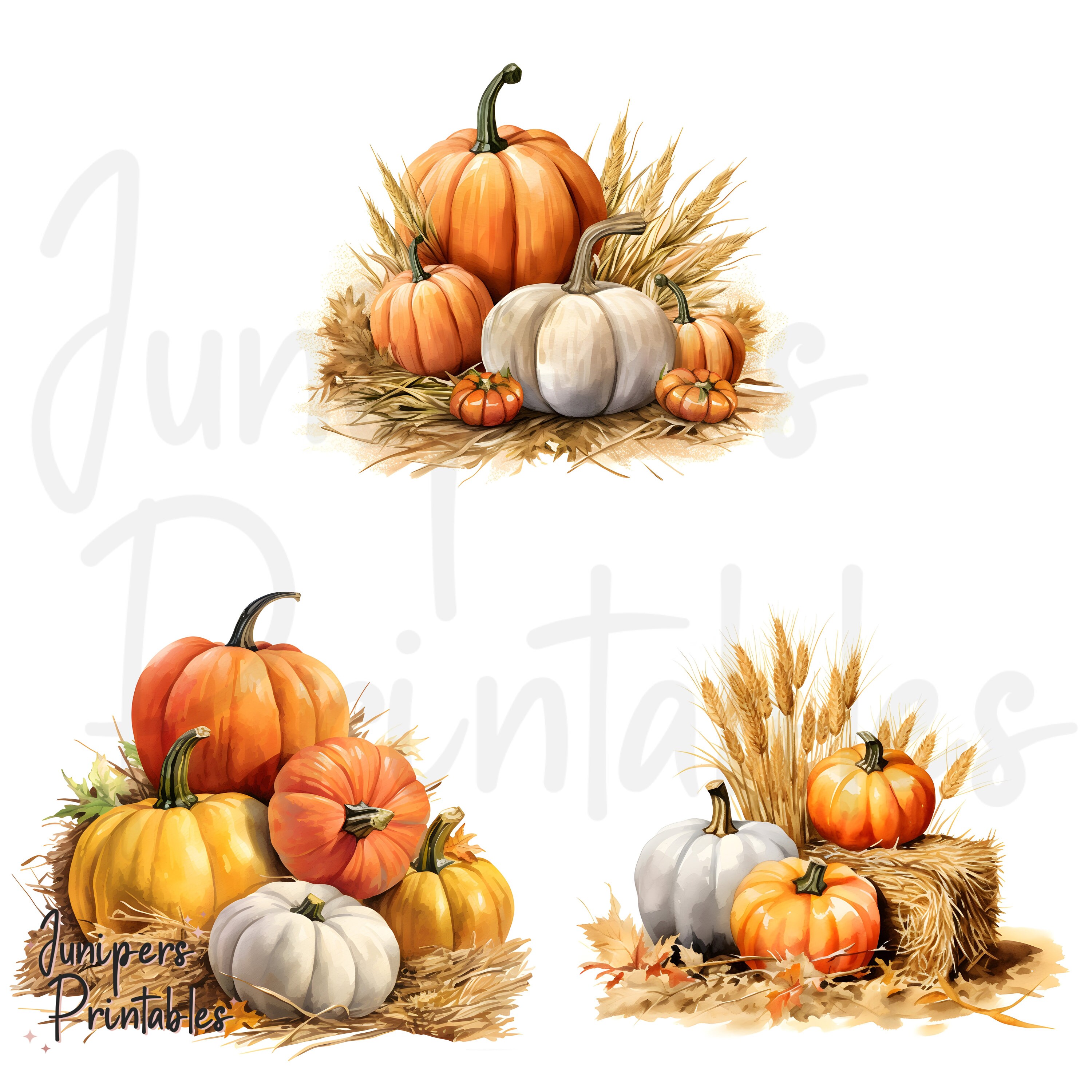 15 Fall Pumpkin & Hay Bale Clipart, High Quality Jpgs, Digital Download ...