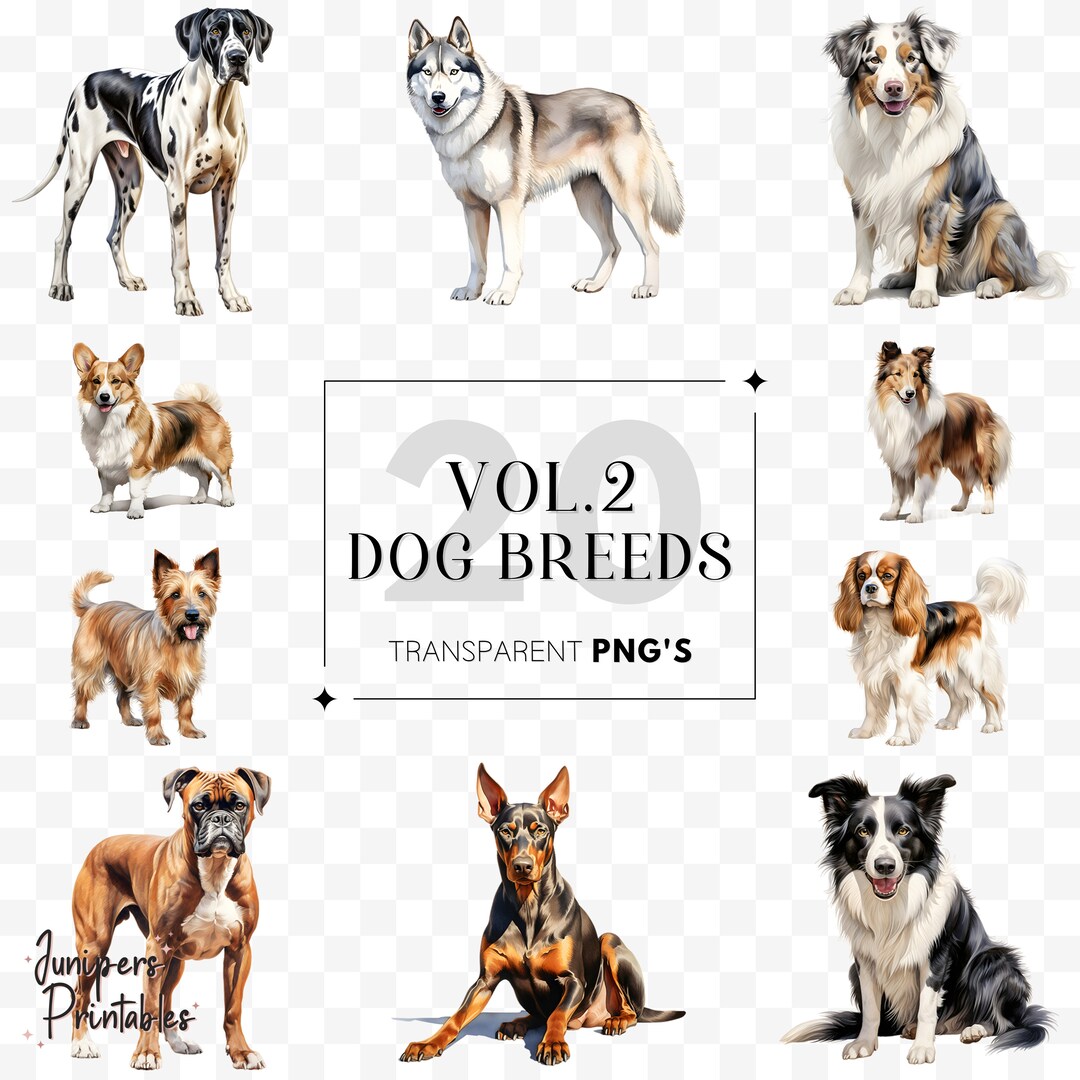Watercolor Dog Breeds Vol. 2 Clipart Bundle, 20 High Quality PNG ...
