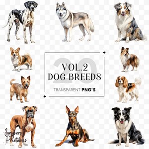 Watercolor Dog Breeds Vol. 2 Clipart Bundle, 20 High Quality PNG ...