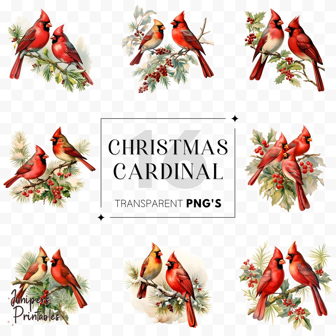 16 Christmas Cardinal Birds Clipart, High Quality PNG, Digital Download ...