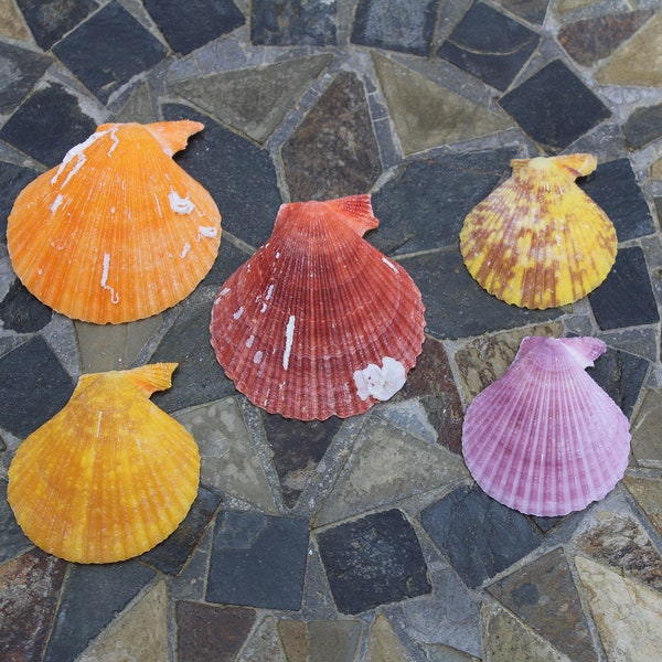 Red Orange Yellow - Etsy