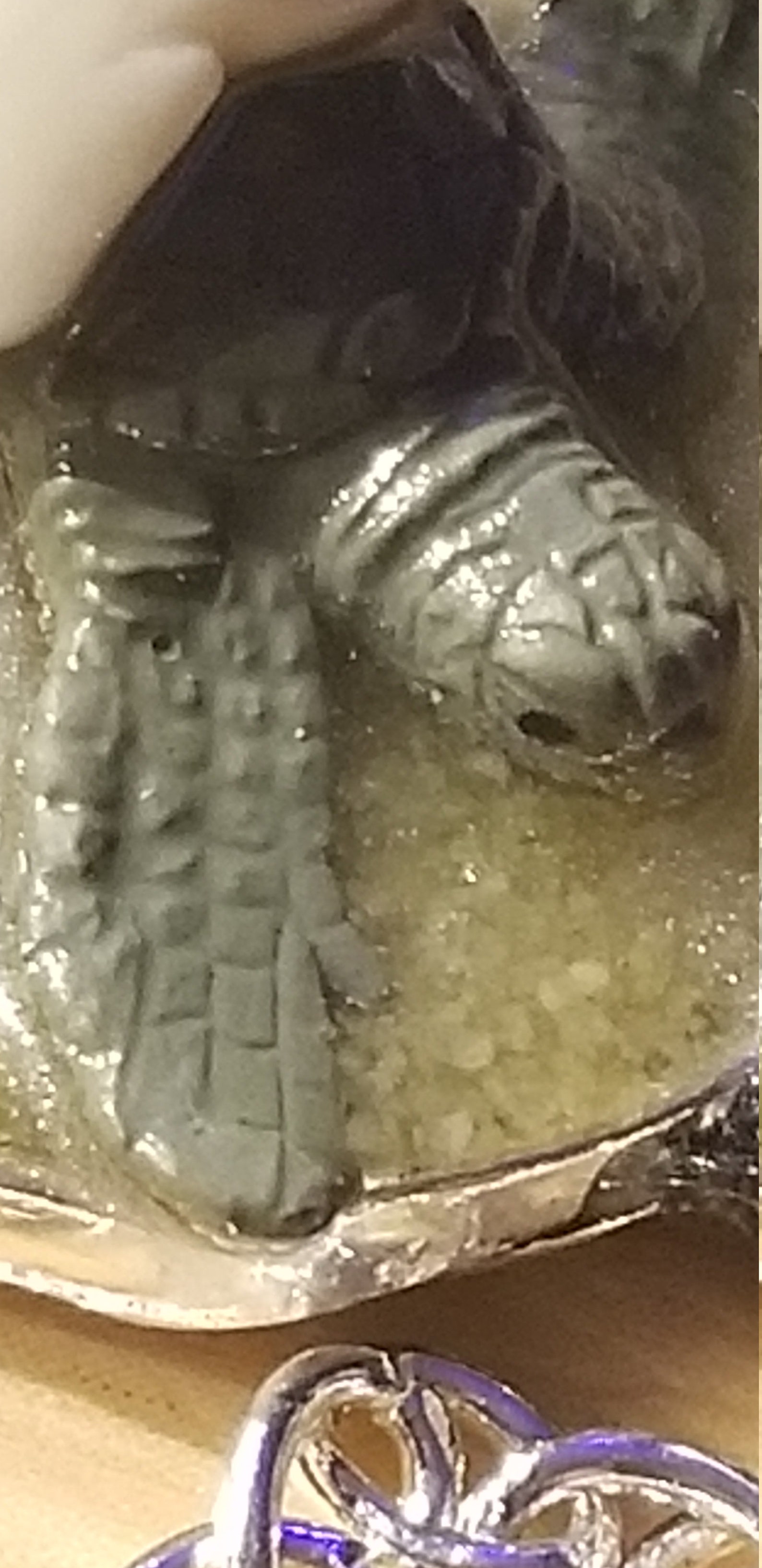 Realistic Baby Turtle Coming Out of Shell on the Sand - Etsy