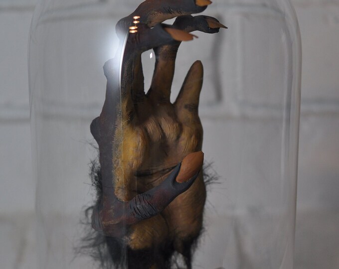 Monkey Paw - Etsy