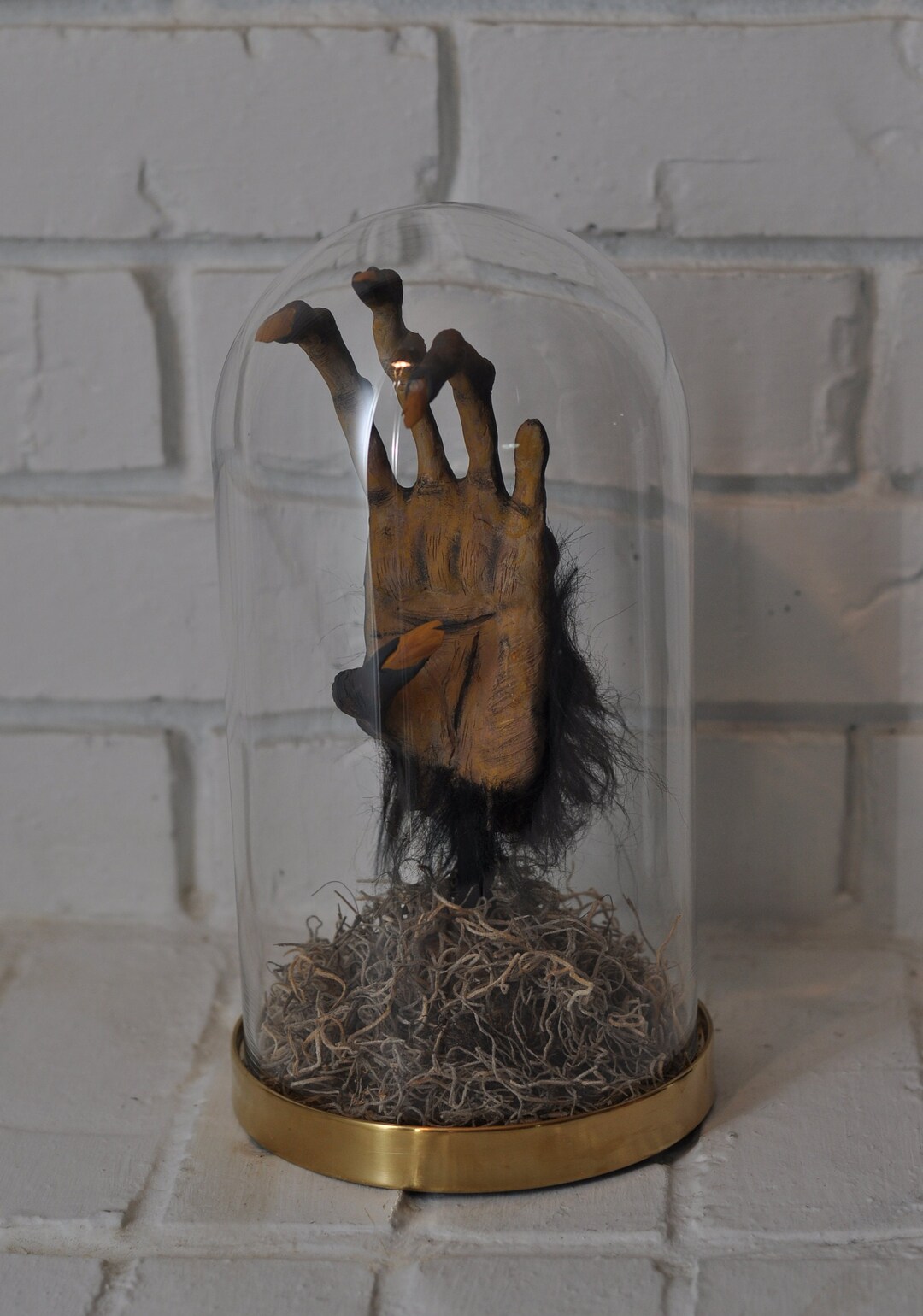 Cursed Monkeys Paw in Dome Dark Fur - Etsy