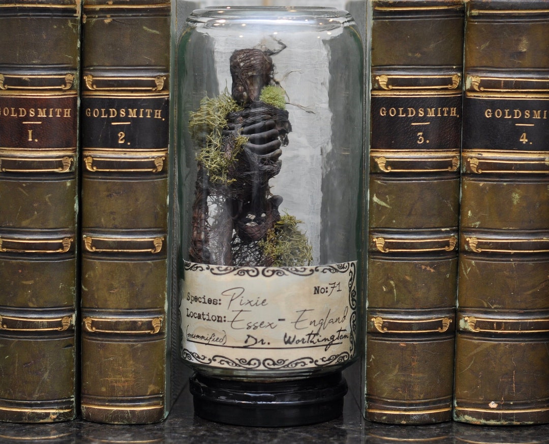 Mummified Fairy Pixie No. 71 - Etsy