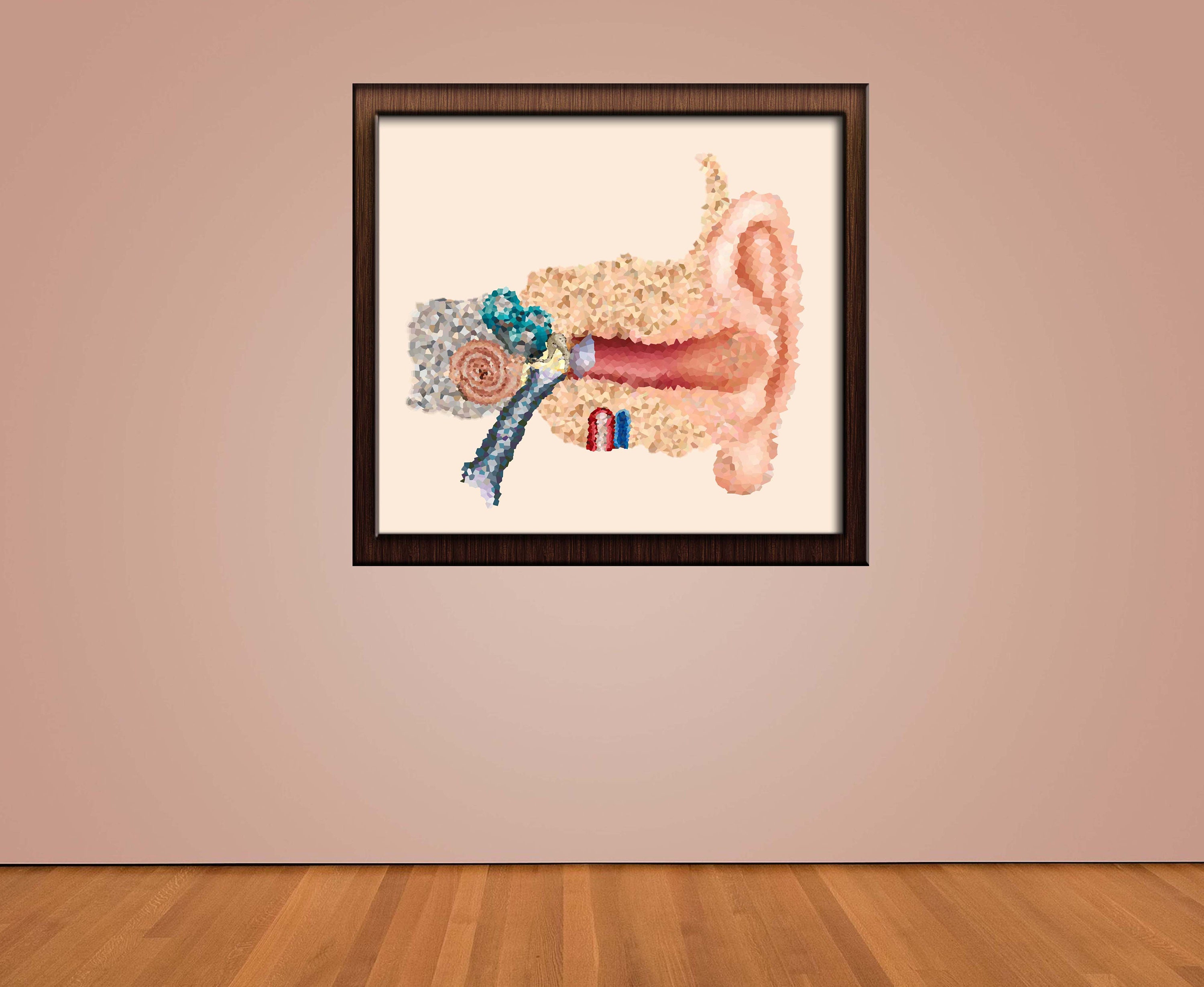 Ear Art Auditory Anatomy Digital Printable - Etsy
