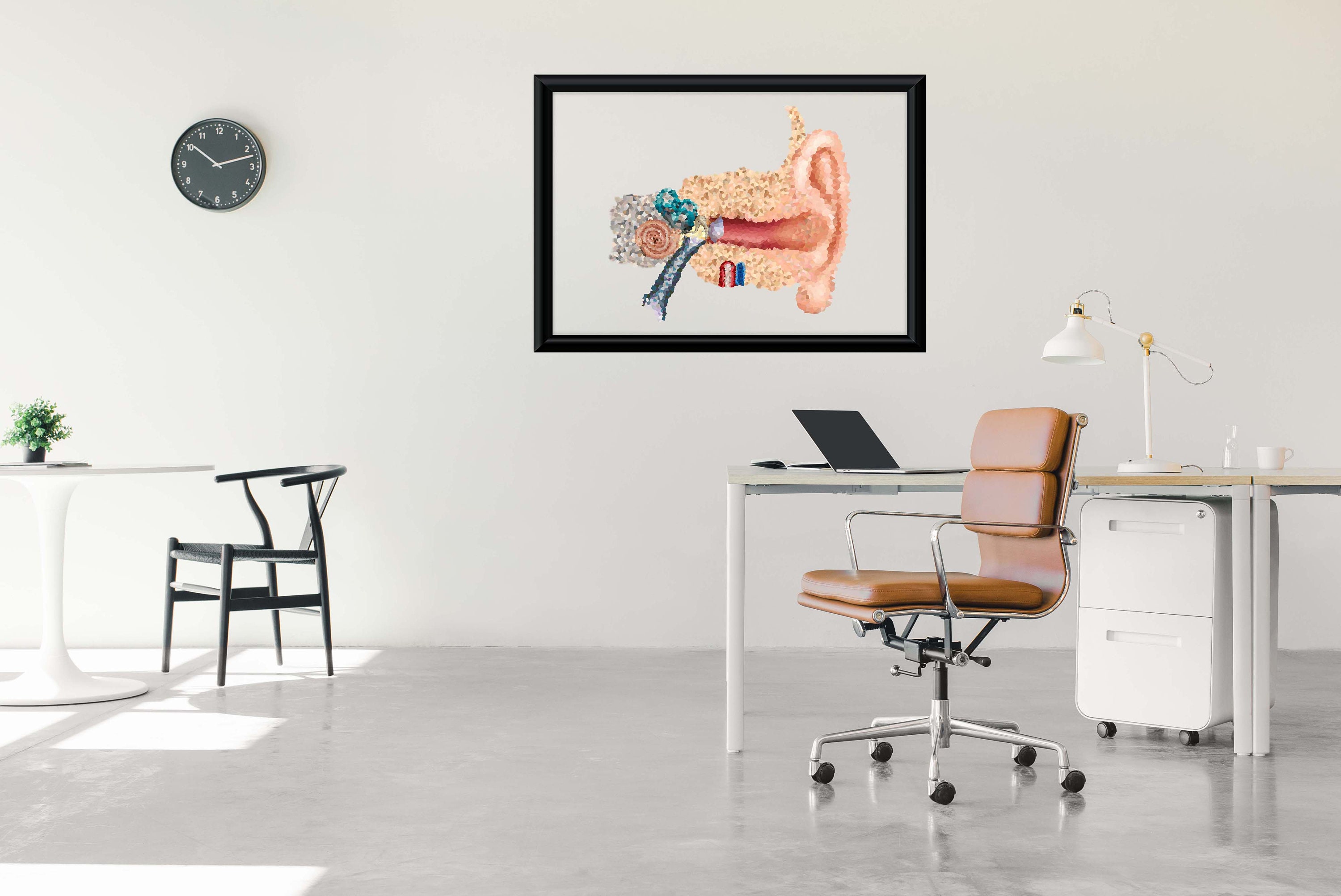 Ear Art Auditory Anatomy Digital Printable - Etsy