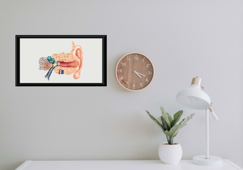 Ear Art Auditory Anatomy Digital Printable - Etsy