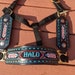 Personalized Custom Horse Halter - Etsy