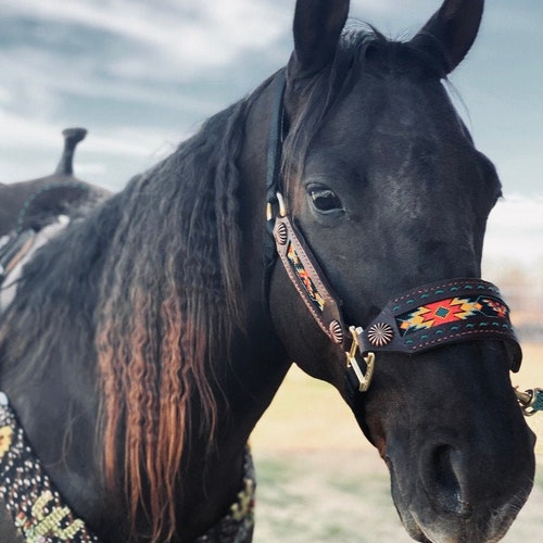 Custom Horse Halter | Etsy