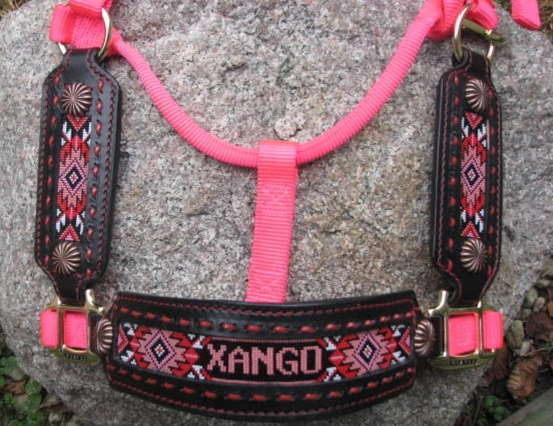 Horse Halters, Equestrian Tack, Beaded Horse Tack, Custom Halters - Etsy
