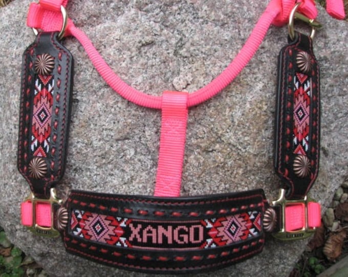 Horse Halters, Equestrian Tack, Beaded Horse Tack, Custom Halters - Etsy