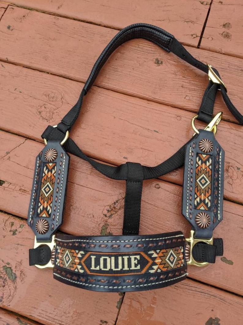 Custom Horse Halter - Etsy