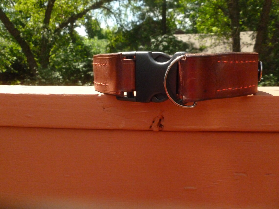 Custom Dog Collars - Etsy