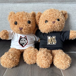 Custom College Apparel, Teddy Bear With Tee Shirt, Logo, Custom Stuffed ...