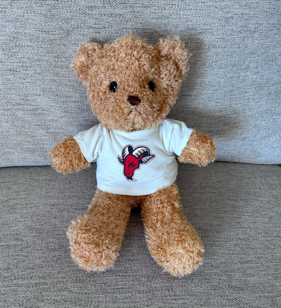 Custom College Apparel, Teddy Bear With Tee Shirt, Logo, Custom Stuffed ...
