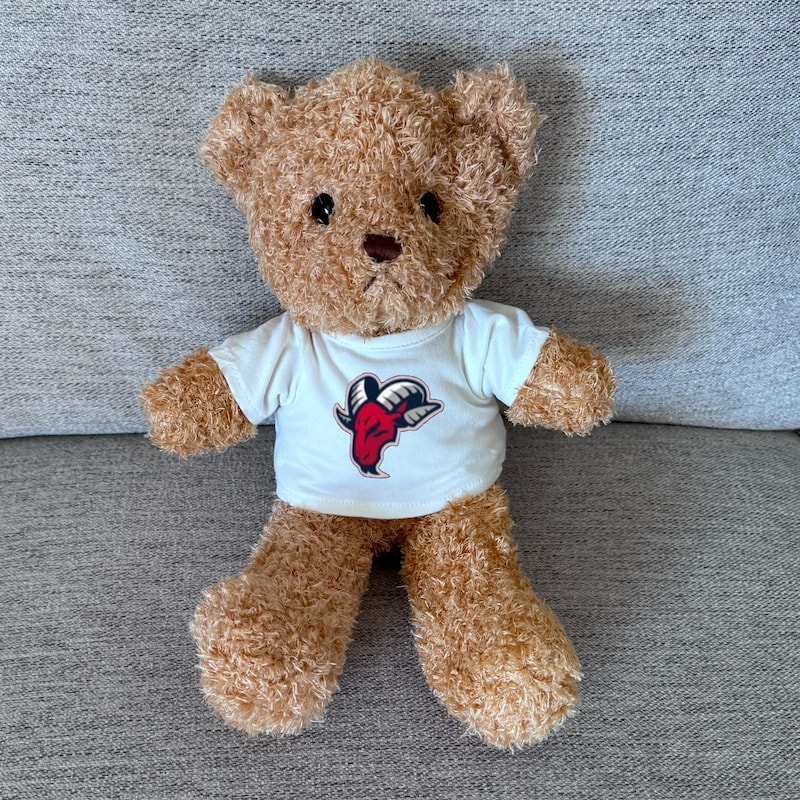 Custom College Merch Bear - Etsy