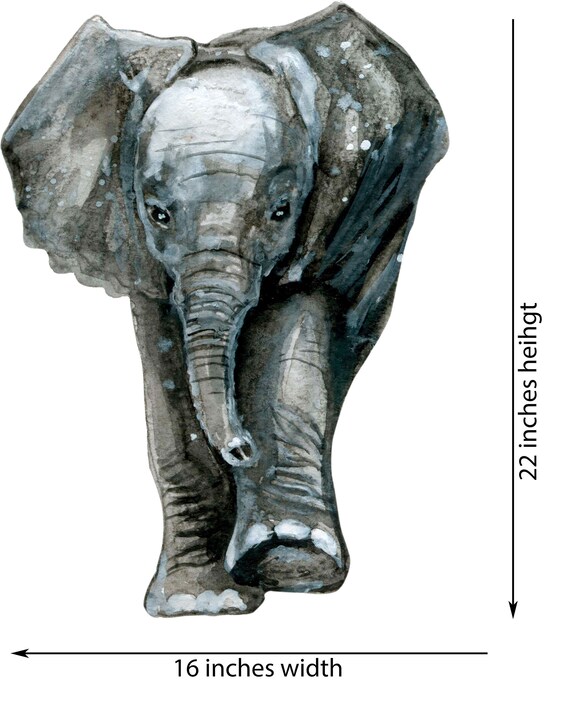 Elephant Drawing Facing Front