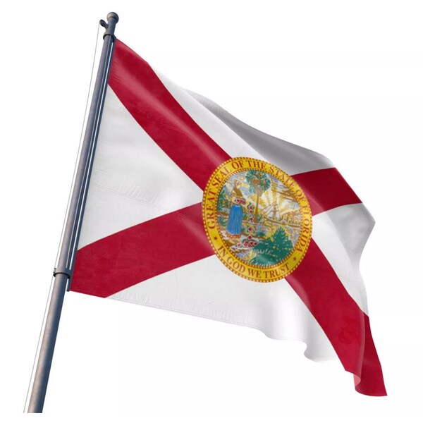 Florida Flag State Patch - Etsy