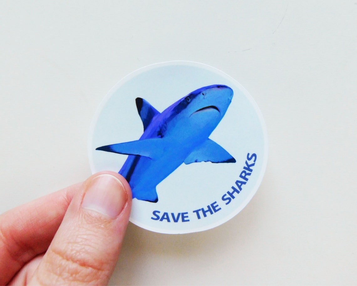 Sticker Save the Sharks Ocean Conservation Vinyl Decal Water & | Etsy