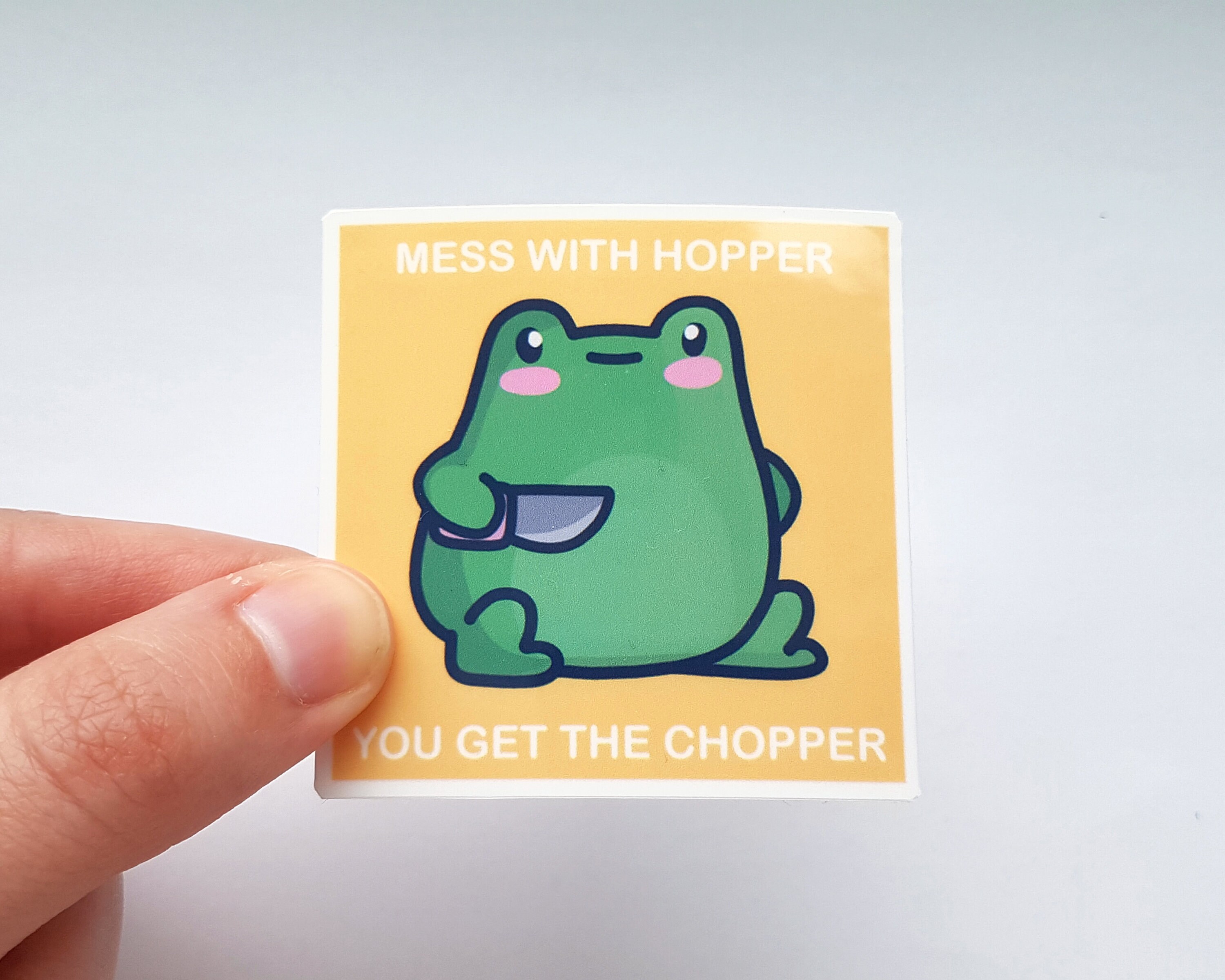Frog Meme Vinyl Sticker Laminated Waterproof Water Bottle Decal Meme ...