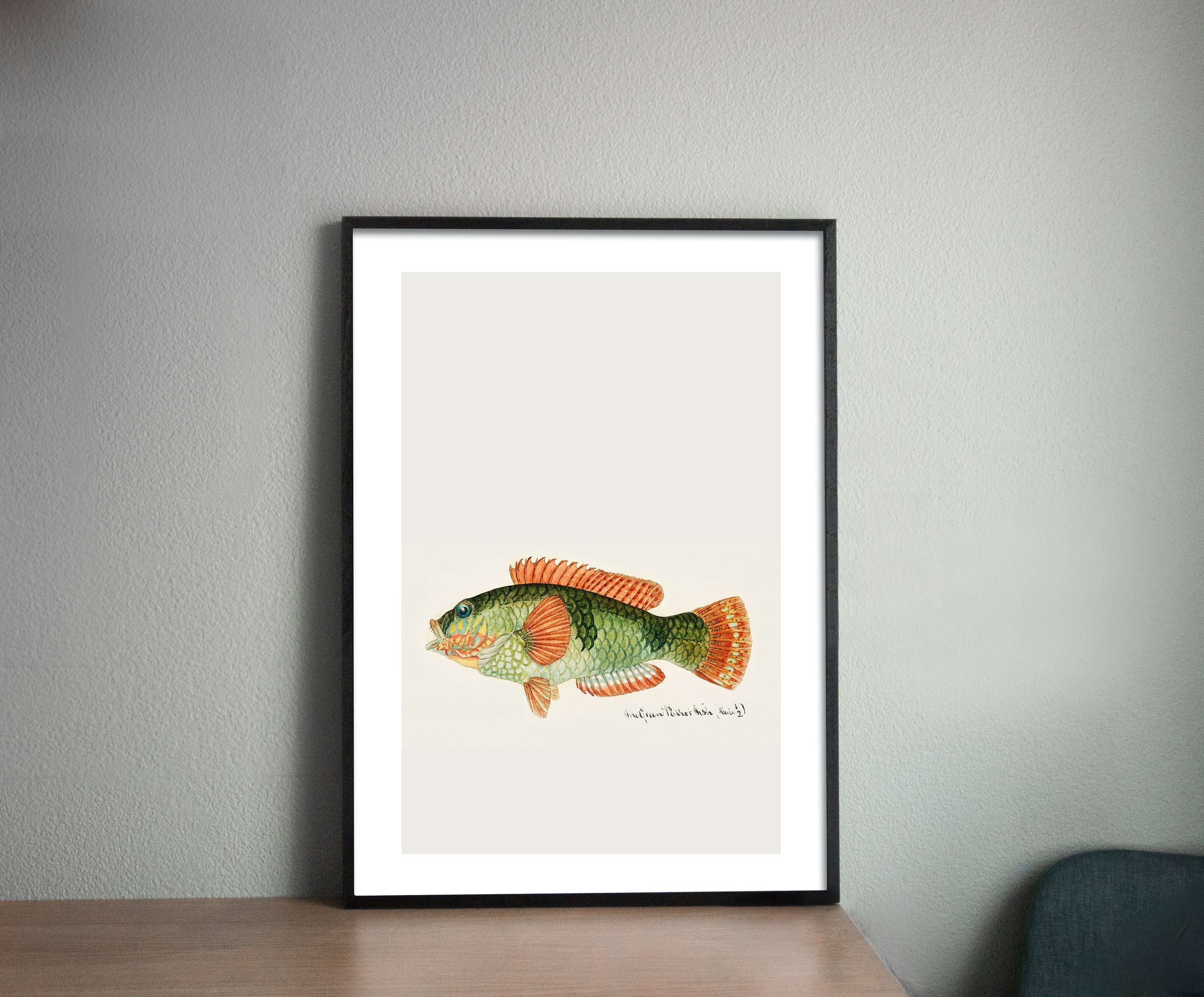 Green Fish Print Fish Print PRINTABLE ART Handdrawn Poster - Etsy