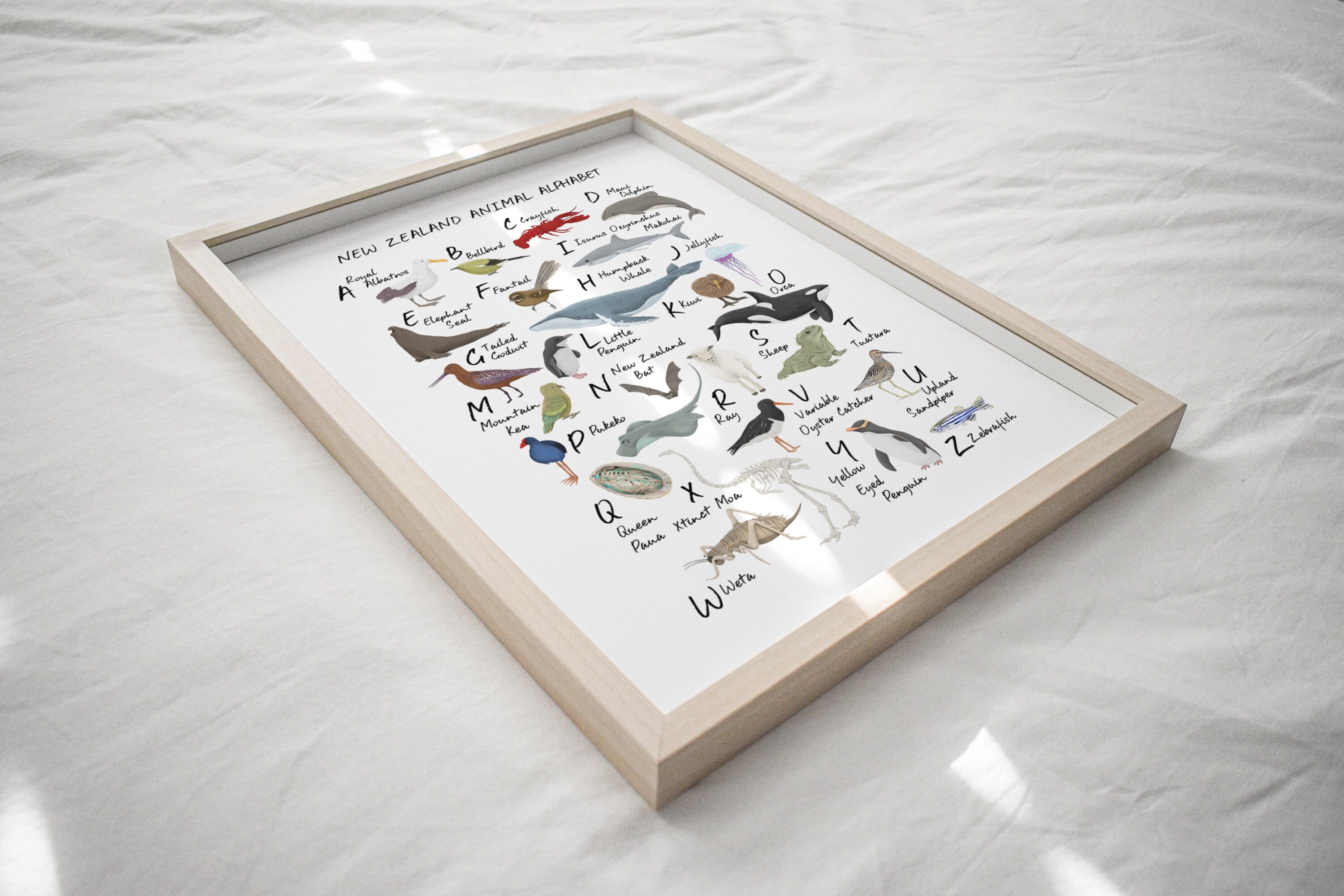 New Zealand Alphabet Nursery Print, New Zealand Gift, Nursery Wall Art ...