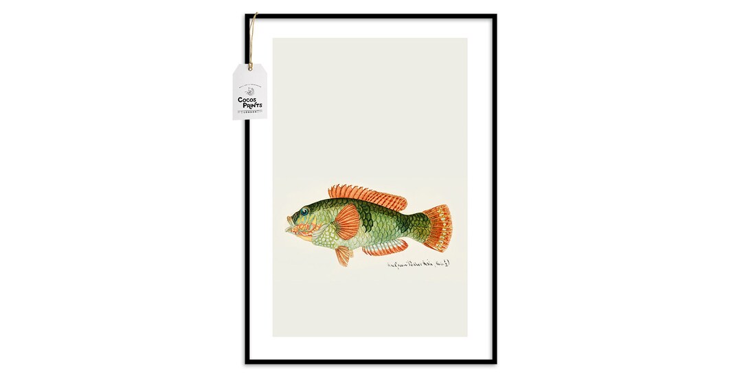 Green Fish Print, Fish Print, PRINTABLE ART, Handdrawn Poster, Fish ...