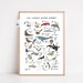 New Zealand Alphabet Nursery Print, New Zealand Gift, Nursery Wall Art ...