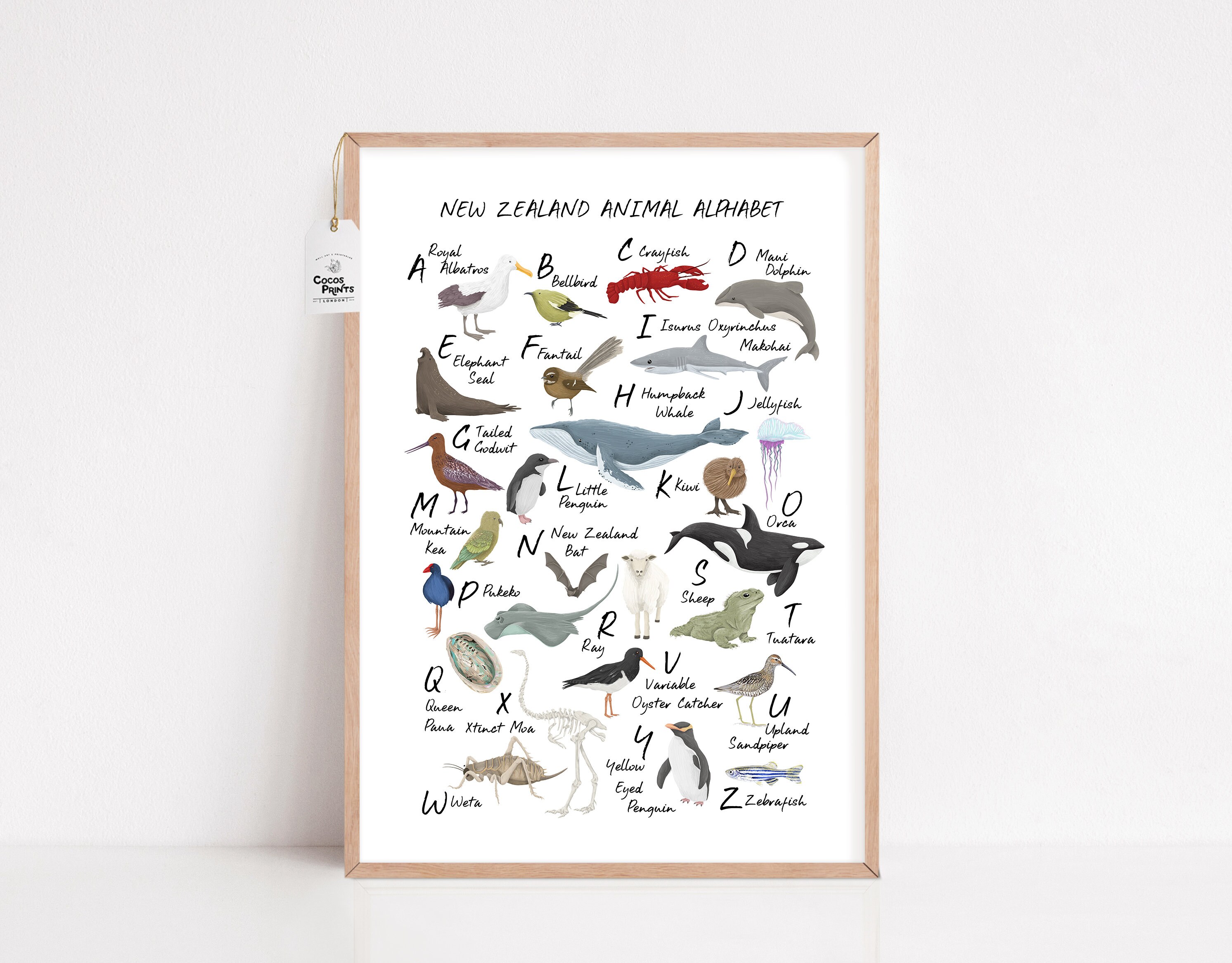 New Zealand Alphabet Nursery Print, New Zealand Gift, Nursery Wall Art ...