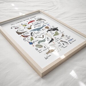 New Zealand Alphabet Nursery Print, New Zealand Gift, Nursery Wall Art ...