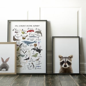 New Zealand Alphabet Nursery Print, New Zealand Gift, Nursery Wall Art ...