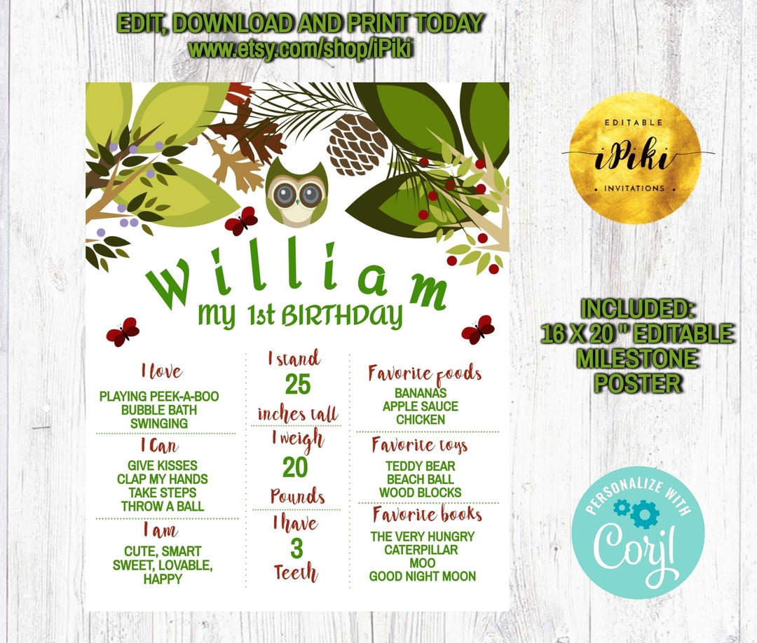 Woodland Milestone Birthday Sign for Boy Forest Animals - Etsy