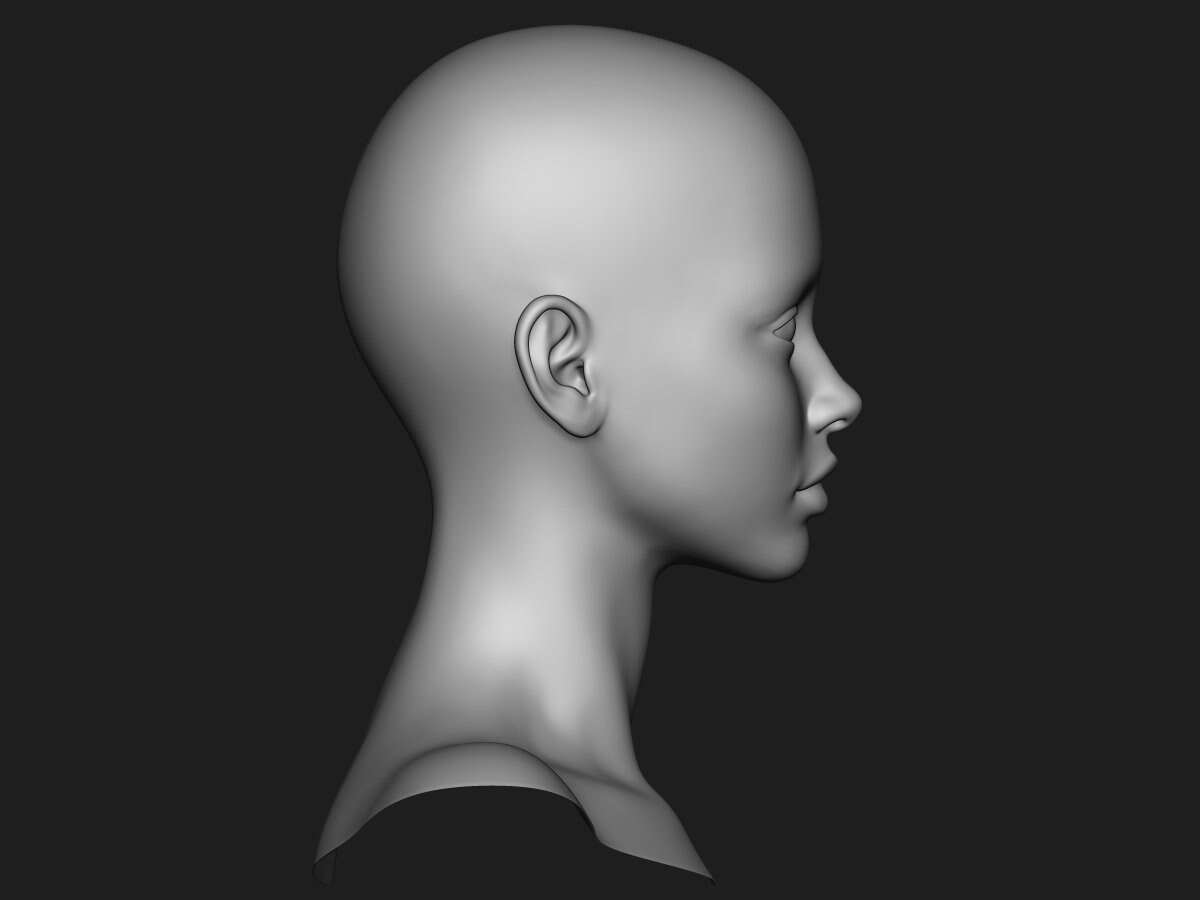 6 Cartoon Female Head 3d Model Low Poly 3d Model Etsy