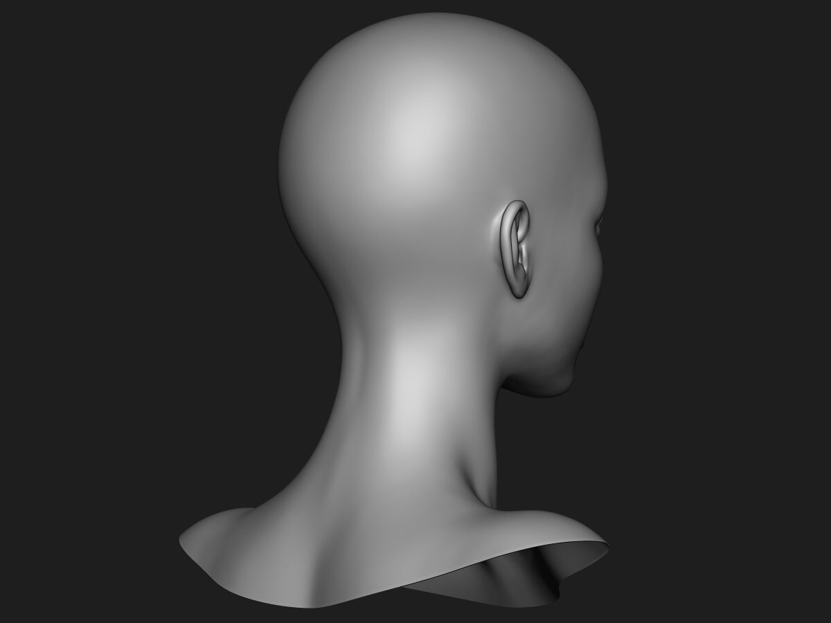 6 Cartoon Female Head 3d Model Low Poly 3d Model Etsy