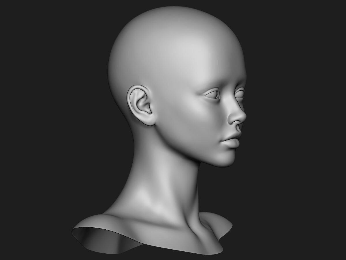 6 Cartoon Female Head 3d Model Low Poly 3d Model Etsy