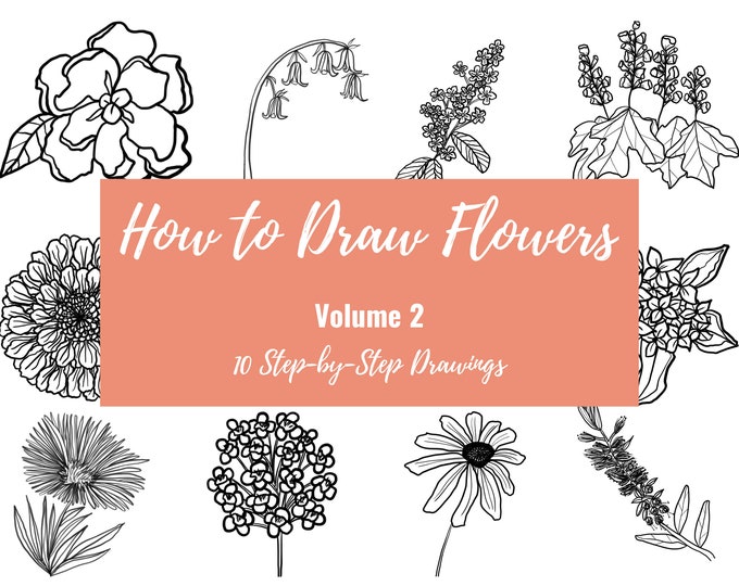 Learn to Draw Flowers Step by Step - PDF Download - Etsy Canada