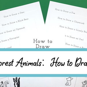Forest Animals - 12 Printable How to Draw Pages - Instructadoodle ...