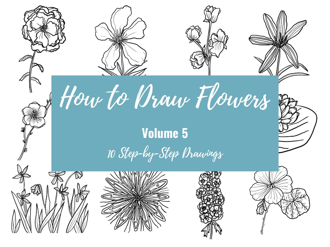 Volume 5: How to Draw Flowers Printable Worksheets Bullet - Etsy