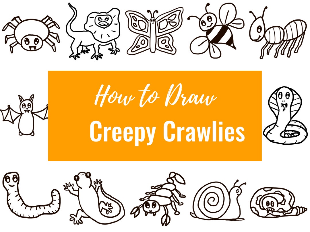 Creepy Crawlies - 12 Printable How to Draw Pages - Animals - Printable ...